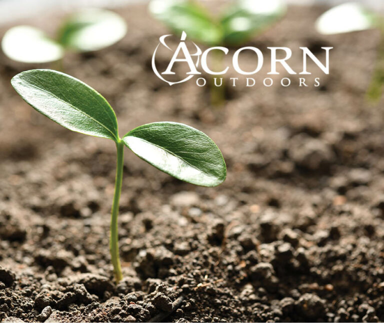Blog - Acorn Outdoors